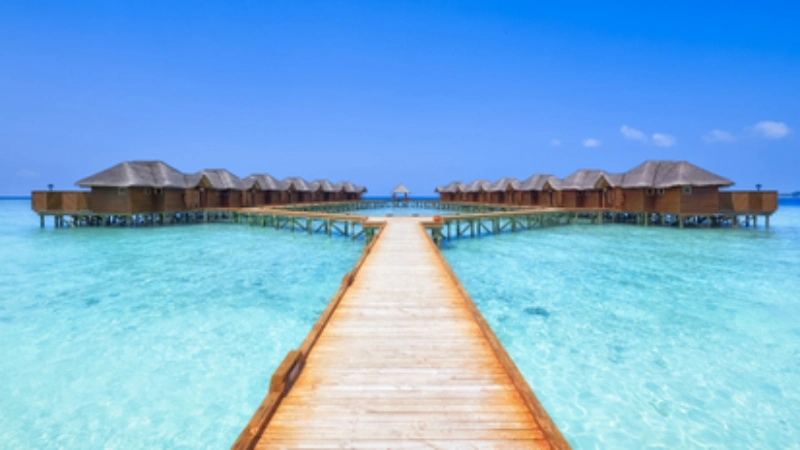 Maldivi – Potovanje iz Ljubljane Odhodi 2025. | Jungle Tribe